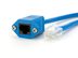 CAT6 Panel Mount Extension Cable - 6 FT, Blue | Computer Cable Store