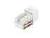CAT6 Keystone Jack 90 Degree 110 UTP - White | Computer Cable Store